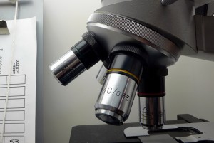 ECMCs - A pipeline for world-leading cancer treatments - Cancer ...