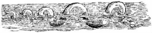 Sticky cells, blood vessels and cancer – the paradox of Claudin-14 ...