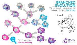 Lung cancer evolution – a journey through space and time - Cancer ...