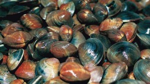 Cancer Research UK - Science blog