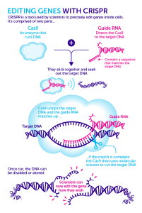 CRISPR gene editing: new chapter in cancer research or blot in the ...