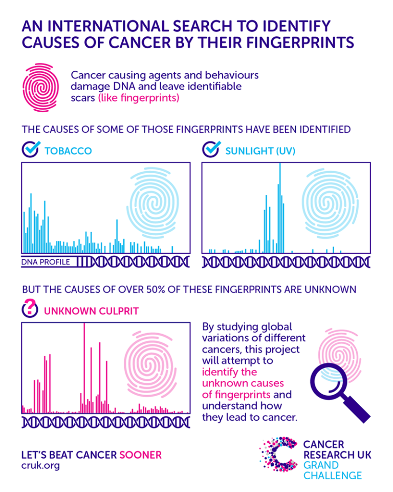 Discovering unknown causes of cancer through ‘fingerprints’ in DNA ...