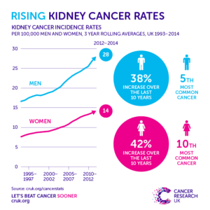 Kidney cancer rates are increasing, so what’s fuelling the surge ...